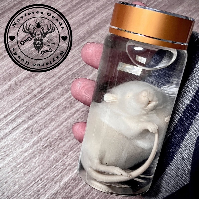 Diaphonization - Etsy