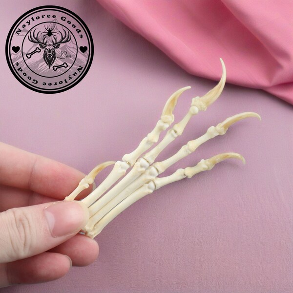 Paw Bone - Etsy