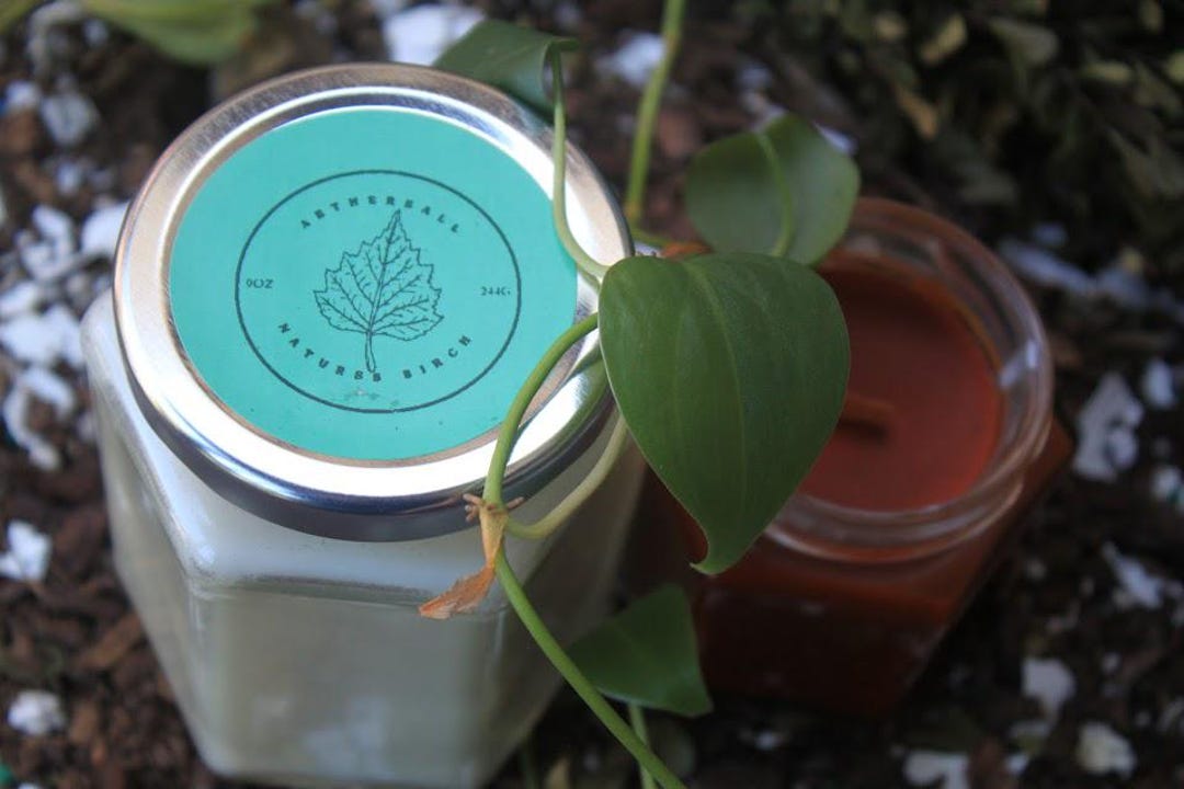 NEW Aethereall - Natures Birch Candles 4oz,6oz and 9oz (100% Soy Wax ...