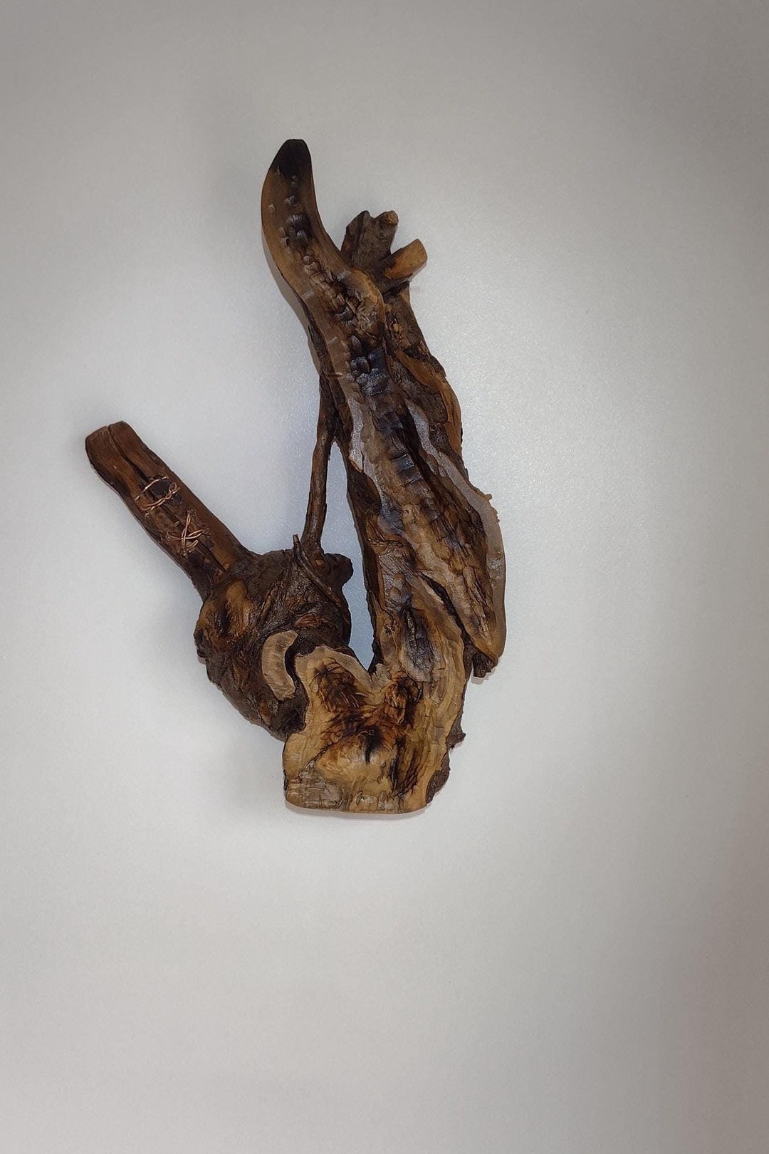 Handcrafted Artisan Bay Tree Root Wall Sculpture Unique Natural Wood ...