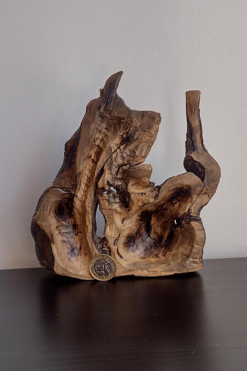 Artisan Handmade Bay Tree Root Coffee Table Sculpture | Unique Rustic ...