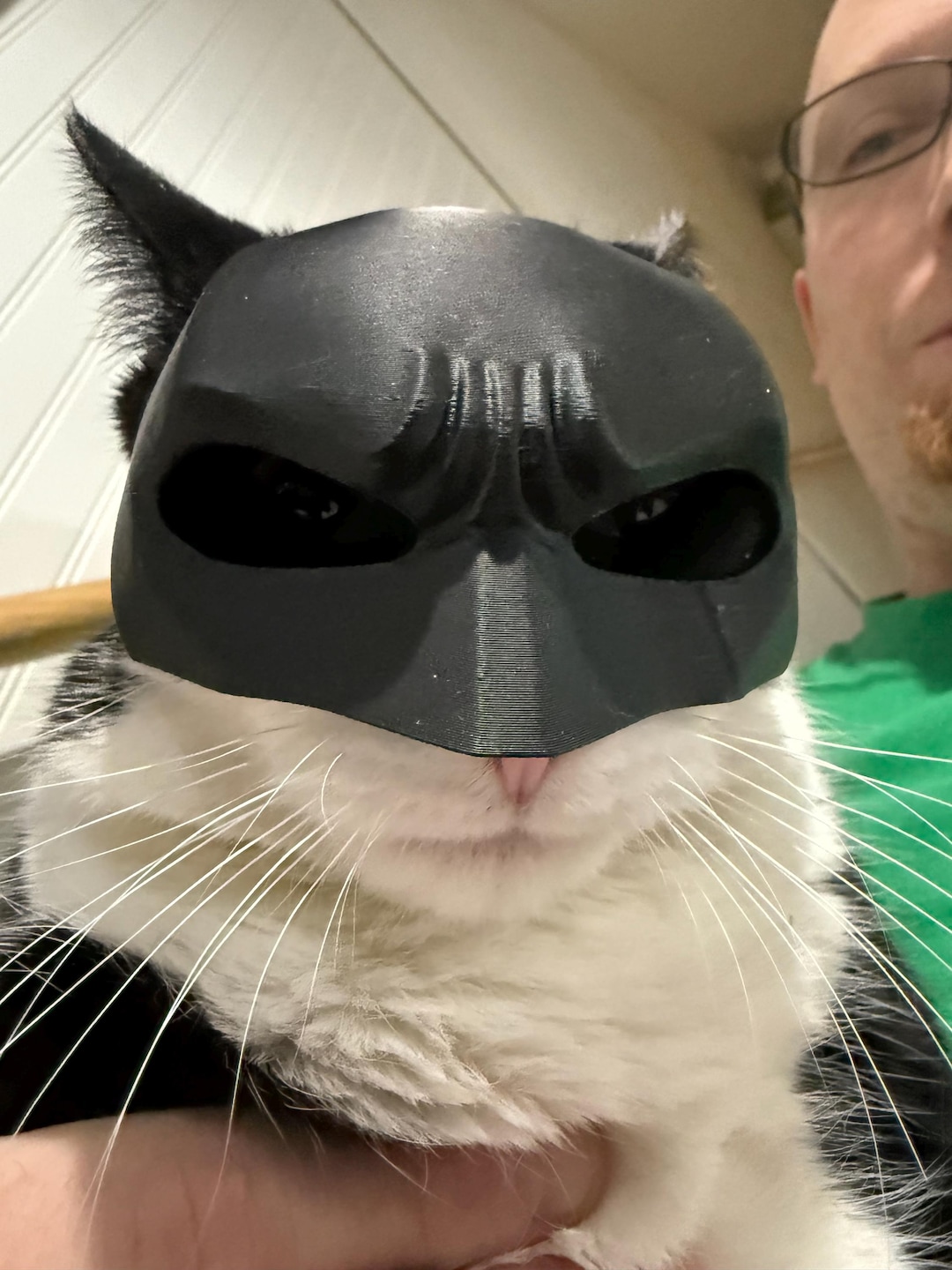 Stealth Hero Cat Mask – 3D Printed Cosplay for Pets - Etsy
