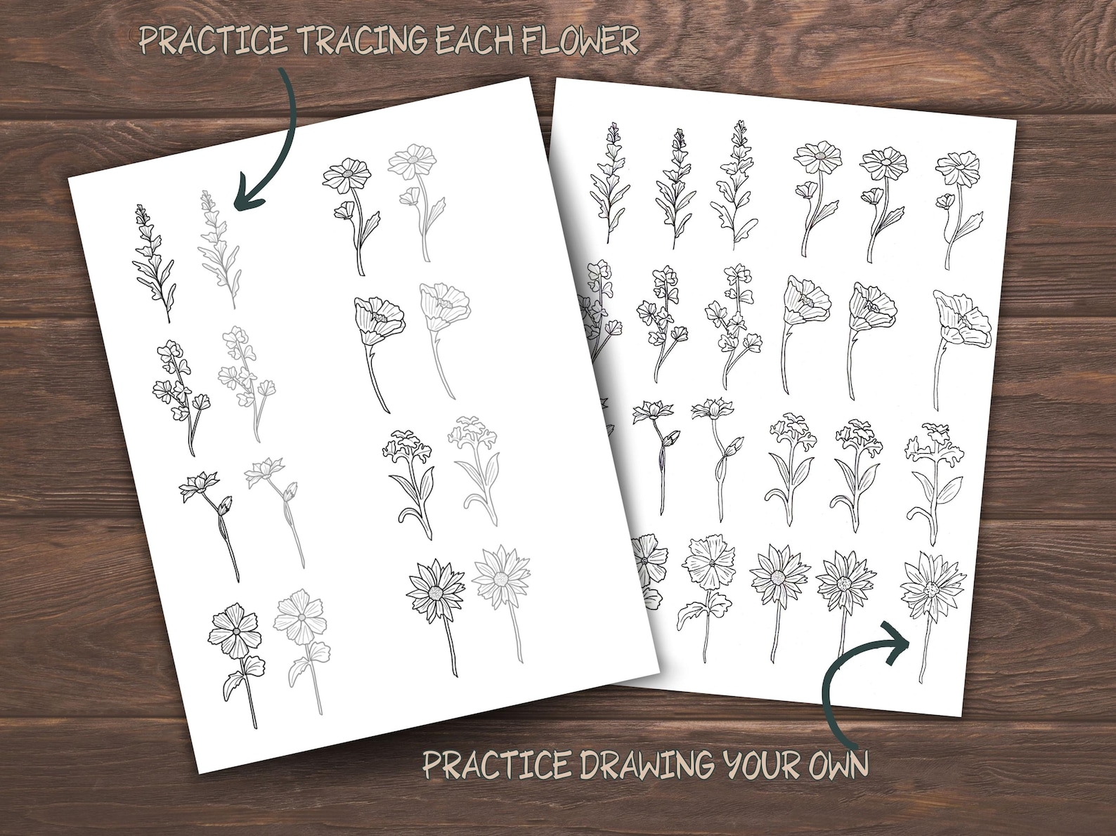 How to Draw Flowers, Practice Tracing and Drawing Flowers - Etsy