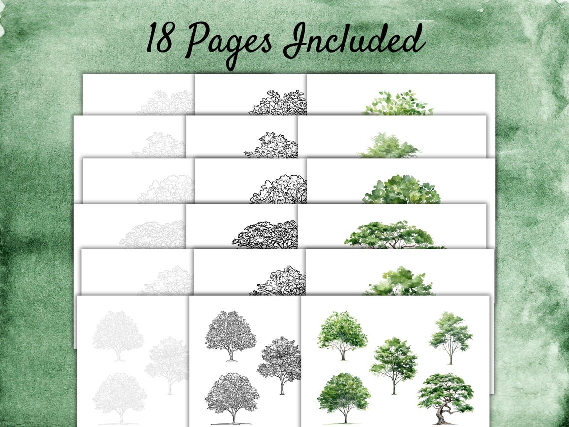 Tree Outline Drawing, Template for Painting or Coloring, Digital ...