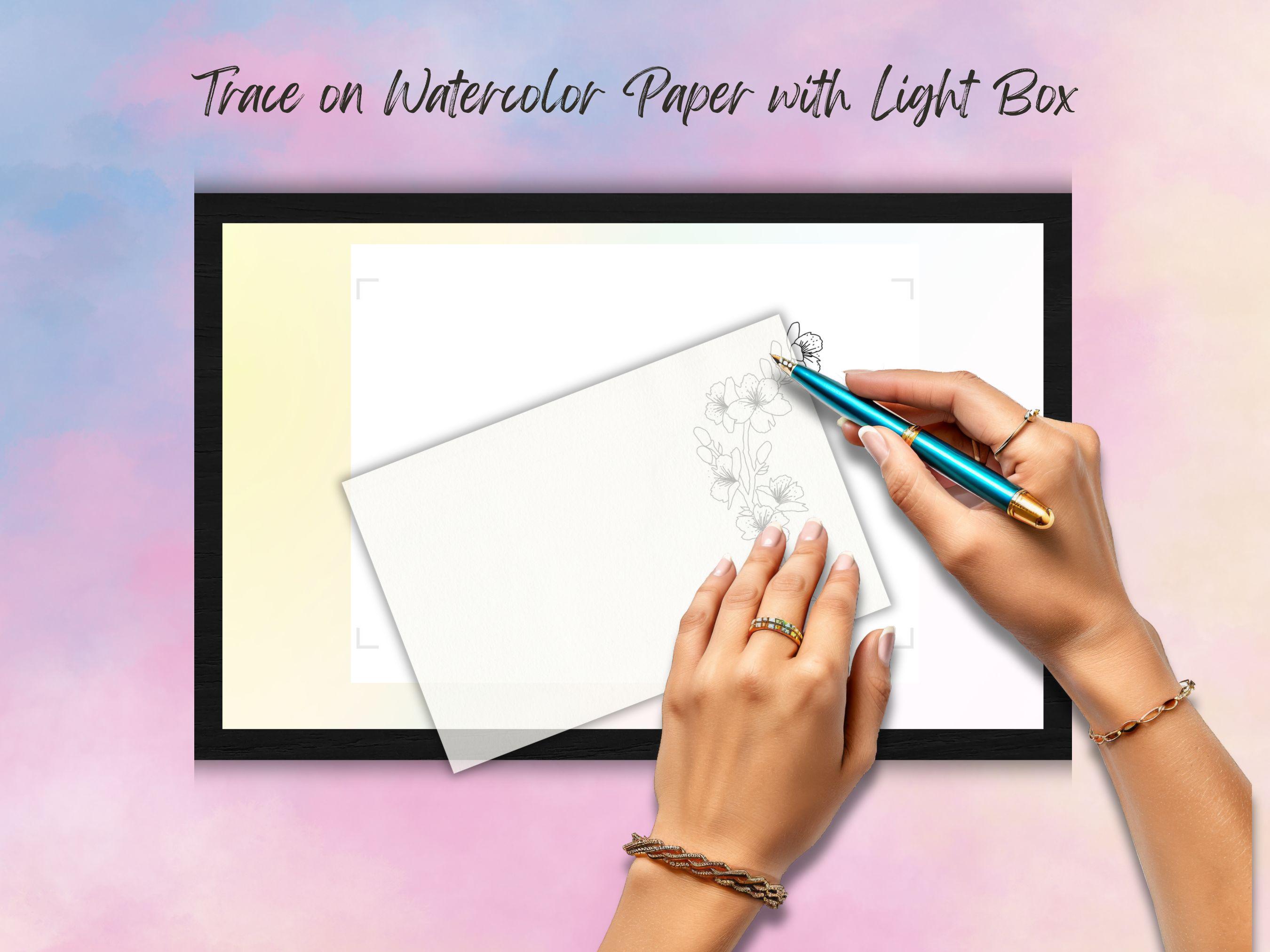Cherry Blossom Outline Drawing, Template for Painting or Coloring ...