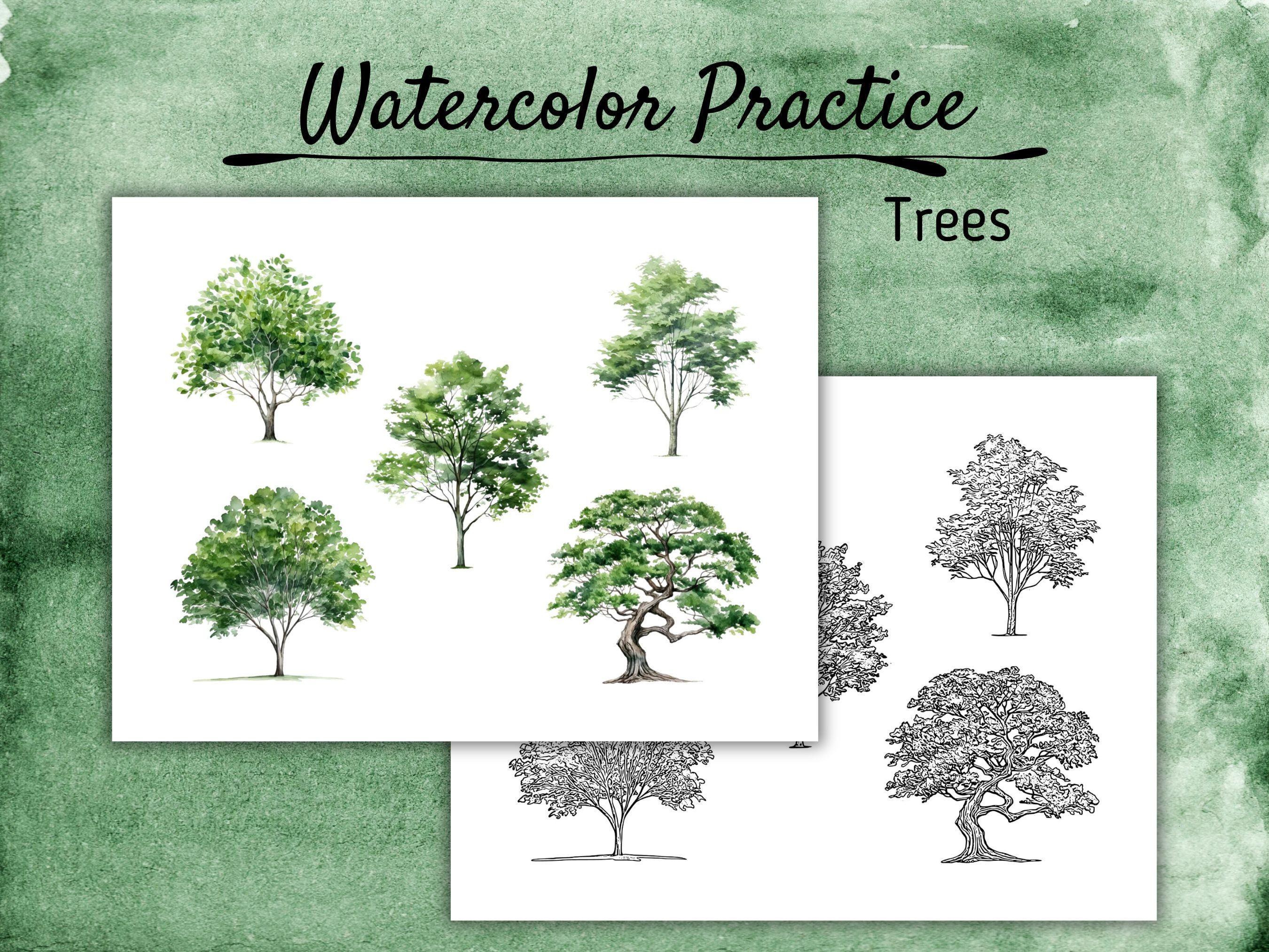 Tree Outline Drawing, Template for Painting or Coloring, Digital ...