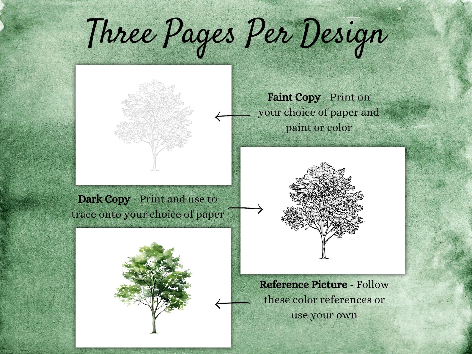 Tree Outline Drawing, Template for Painting or Coloring, Digital ...
