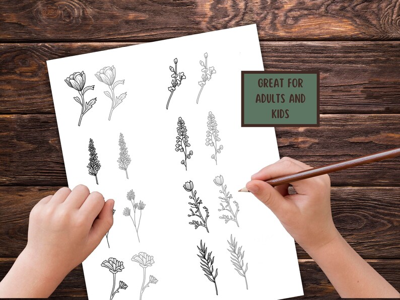 How to Draw Flowers, Practice Tracing and Drawing Flowers - Etsy