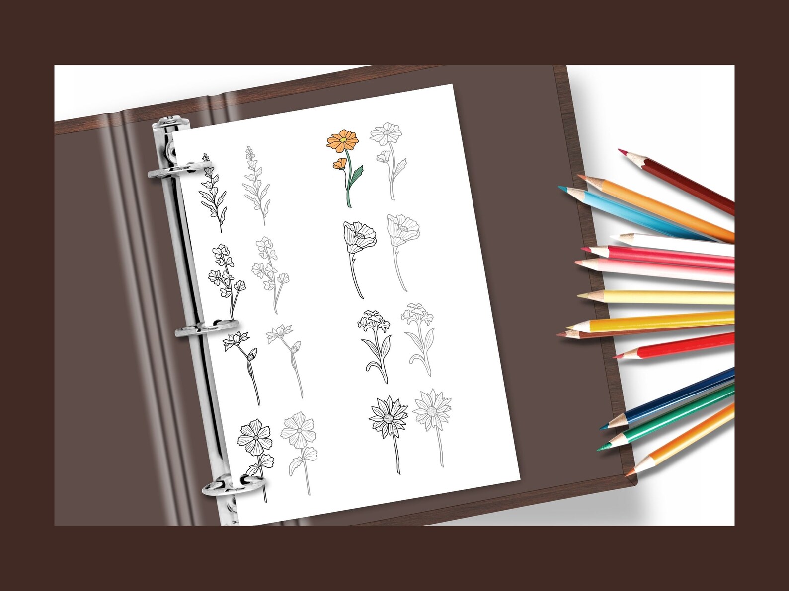 How to Draw Flowers, Practice Tracing and Drawing Flowers - Etsy