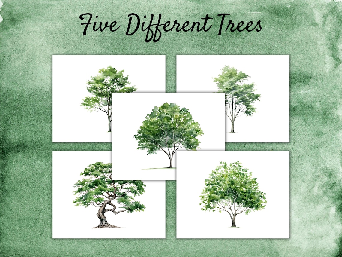 Tree Outline Drawing, Template for Painting or Coloring, Digital ...