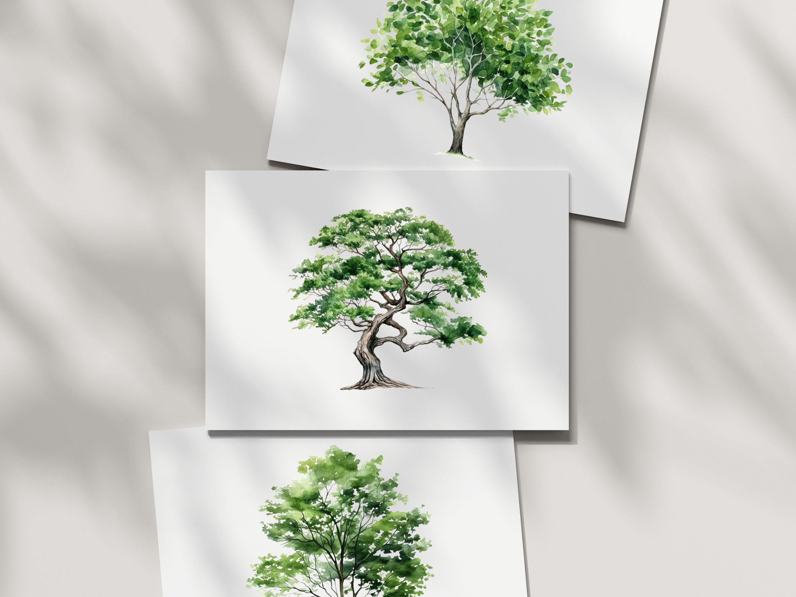 Tree Outline Drawing, Template for Painting or Coloring, Digital ...