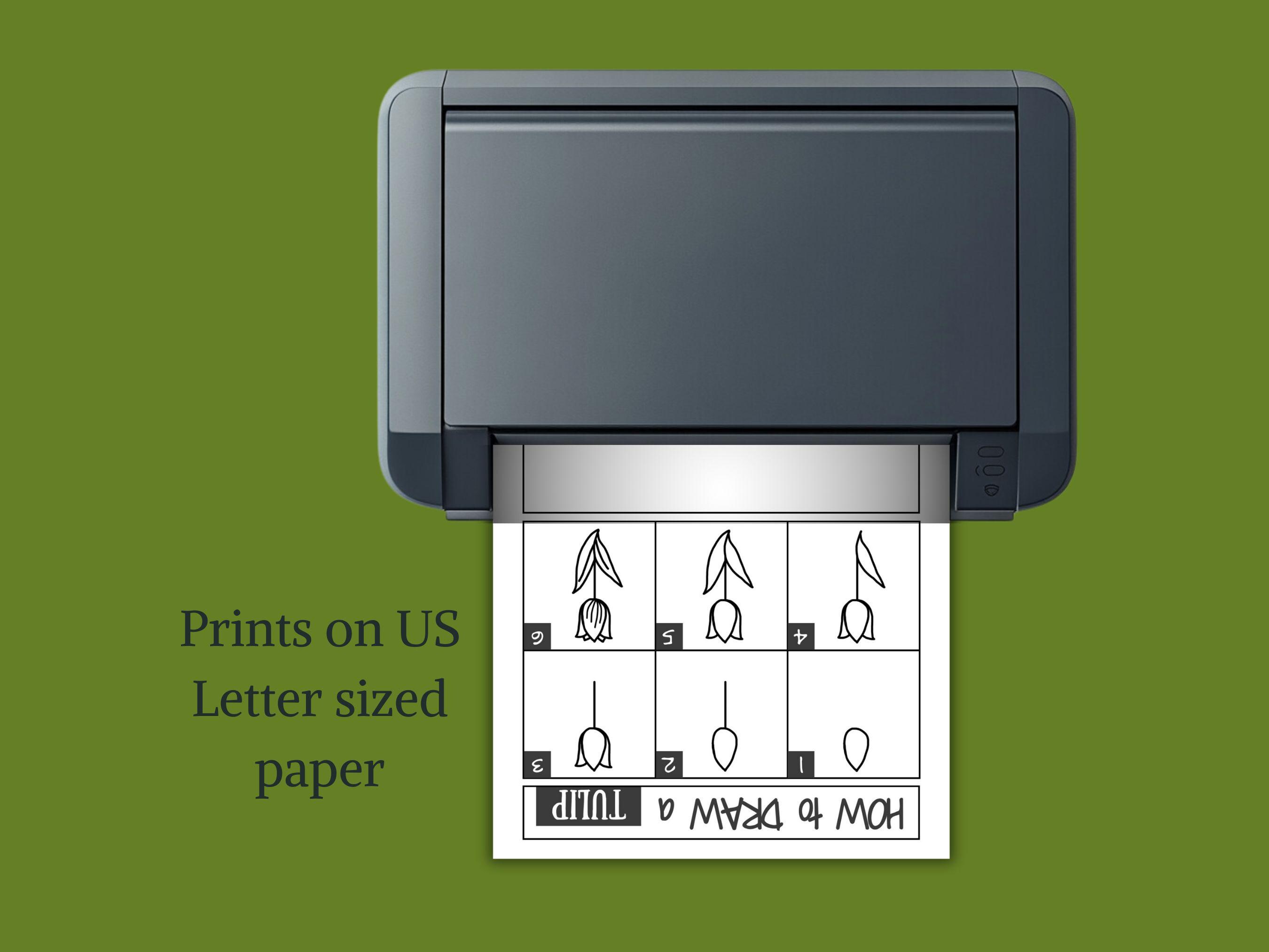 How to Draw Flowers Worksheets. Step by Step Kids Drawing. Trace a Rose ...