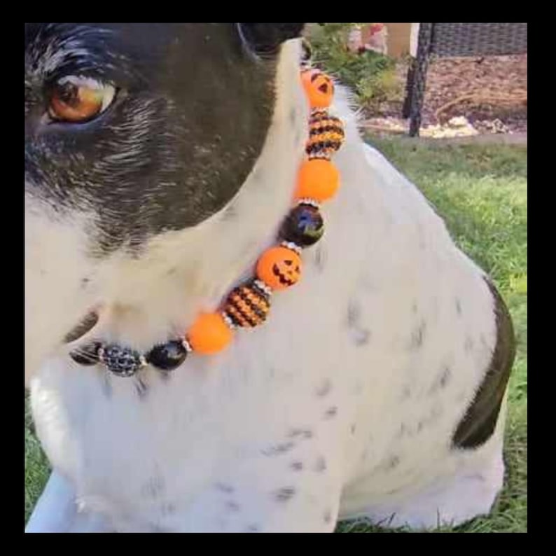 Dog Bead Collar, Halloween Dog Collar, Beaded Dog Collar, Dog Necklace ...