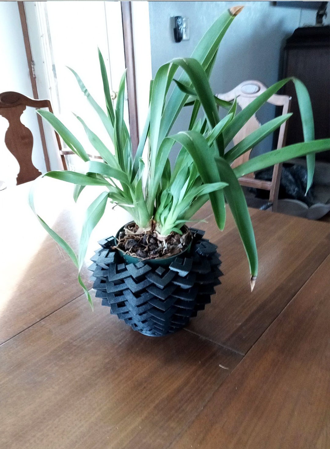 Orchid Interlocking Mesh Planter - Etsy