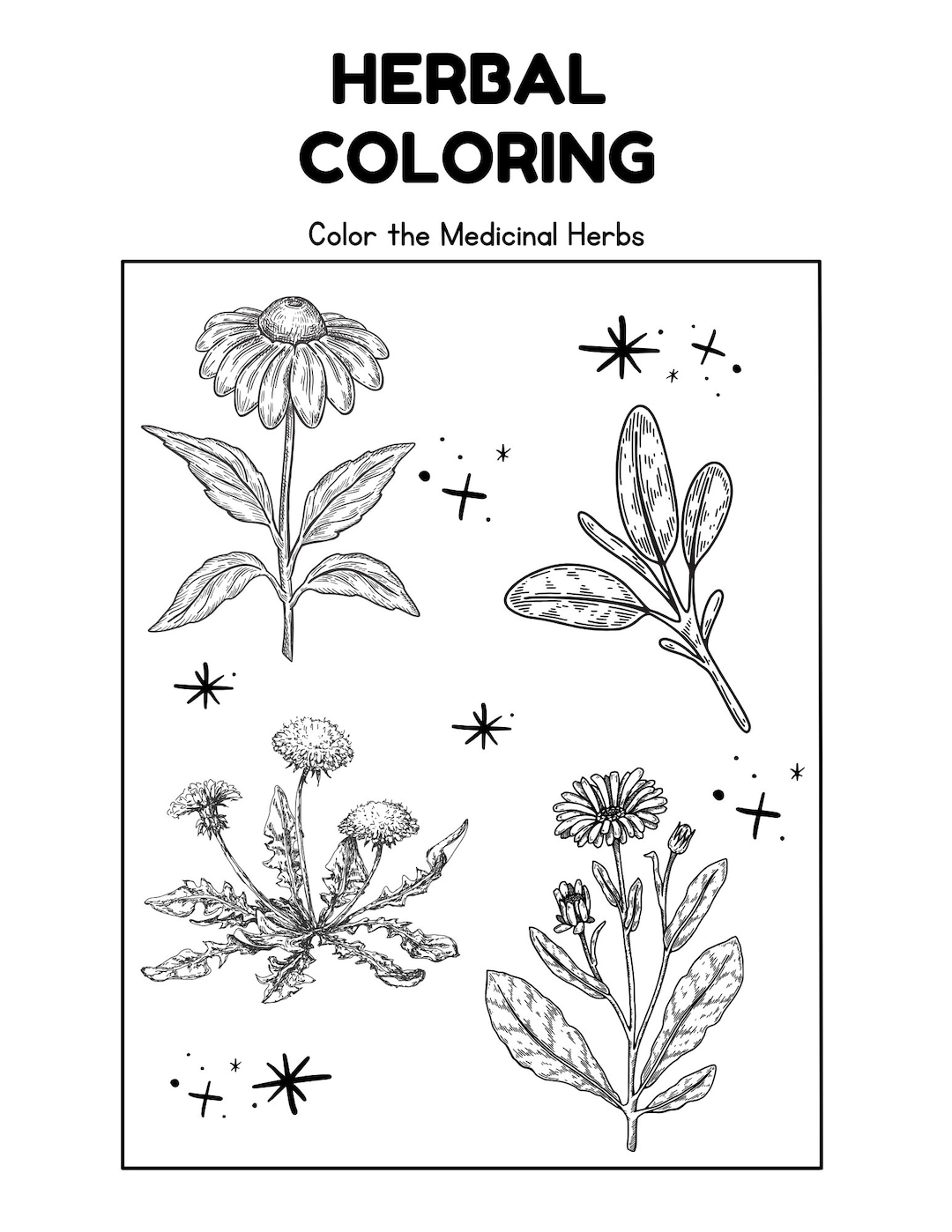 Children's Herbal Coloring Page - Etsy