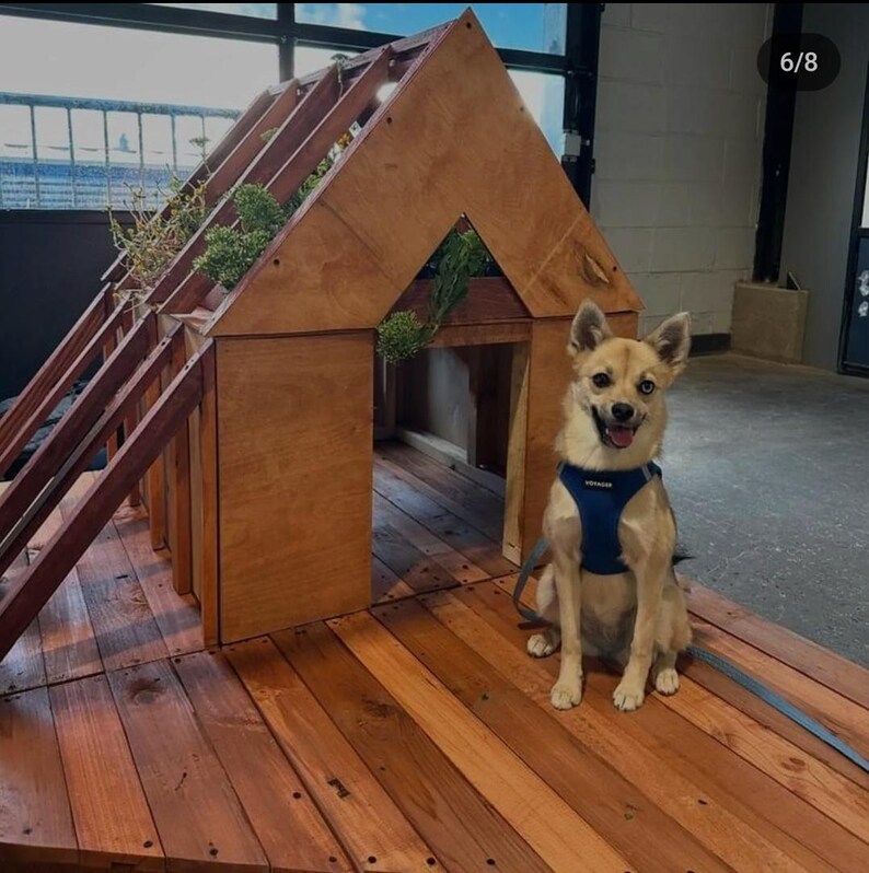 Dog House - Green Roof - Etsy