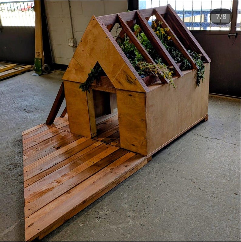 Dog House - Green Roof - Etsy