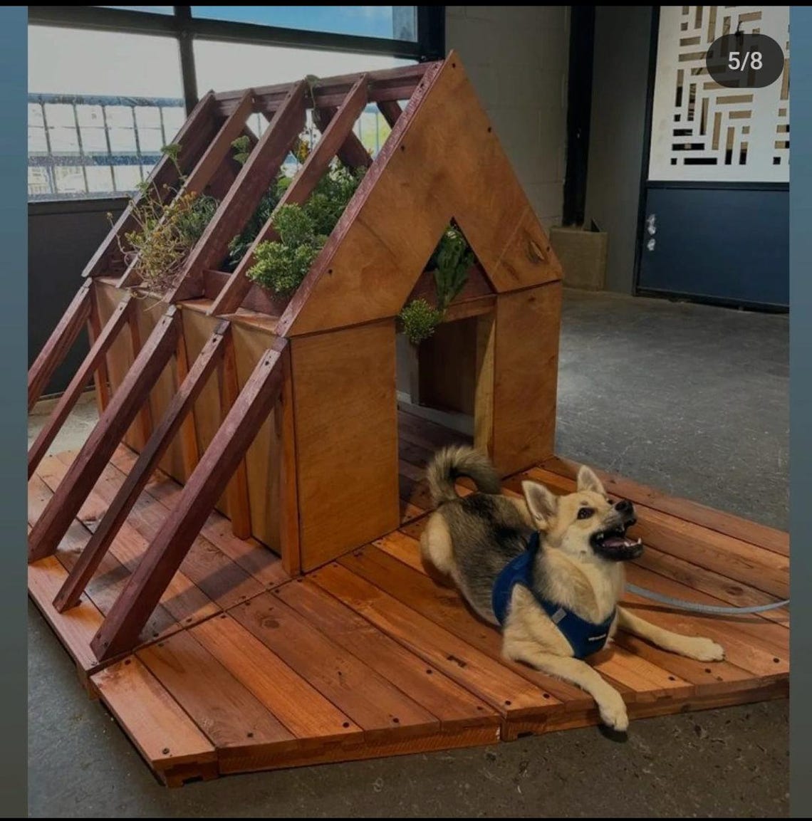Dog House - Green Roof - Etsy