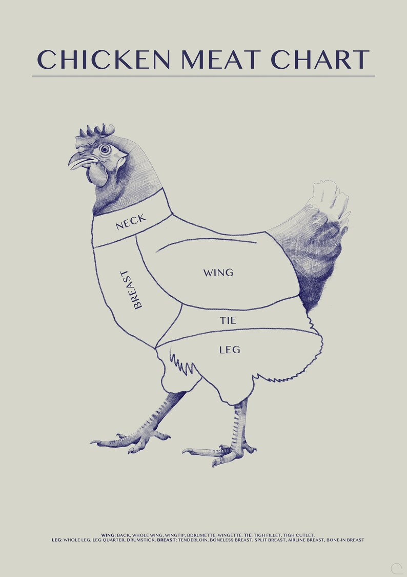 Chicken Meat Chart ,high Digital Poster , Kitchen Decor, Poultry Butcher Poster, Chicken Chart ...