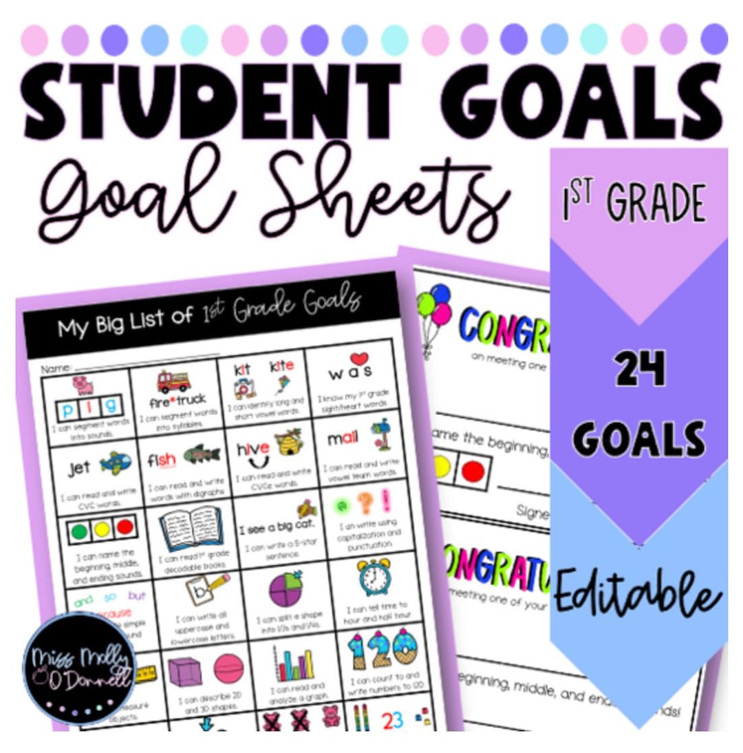 First Grade Assessment, Student Data Tracking Binder, 1st Grade Binder ...