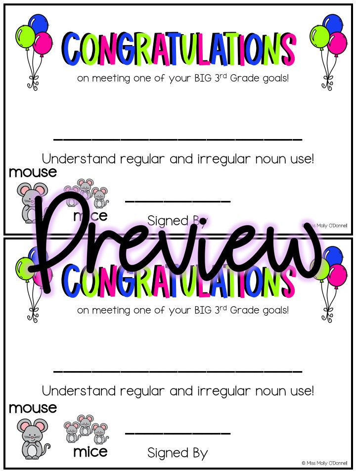 Third Grade Assessment, Student Data Binder, 3rd Grade Binder, 3rd ...