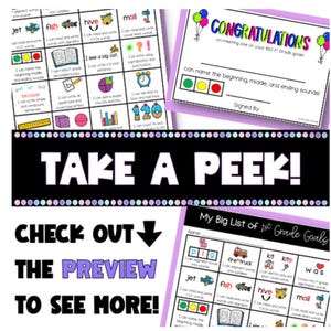 First Grade Assessment, Student Data Tracking Binder, 1st Grade Binder ...