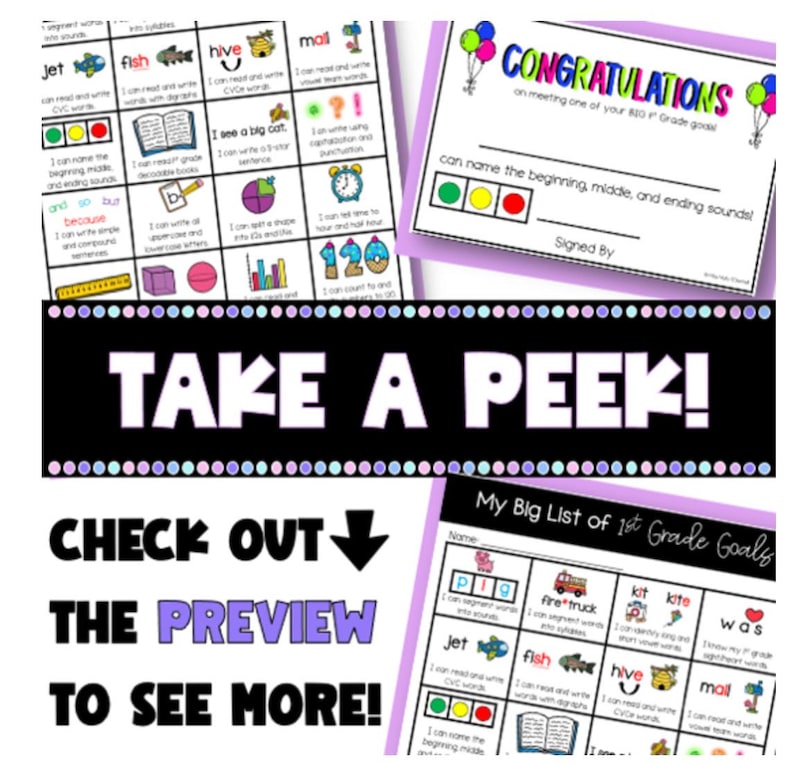 First Grade Assessment, Student Data Tracking Binder, 1st Grade Binder ...