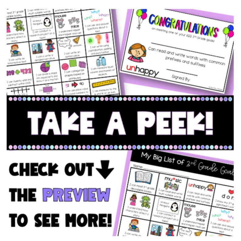 Third Grade Assessment, Student Data Binder, 3rd Grade Binder, 3rd ...