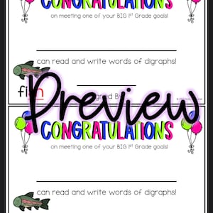 First Grade Assessment, Student Data Tracking Binder, 1st Grade Binder ...