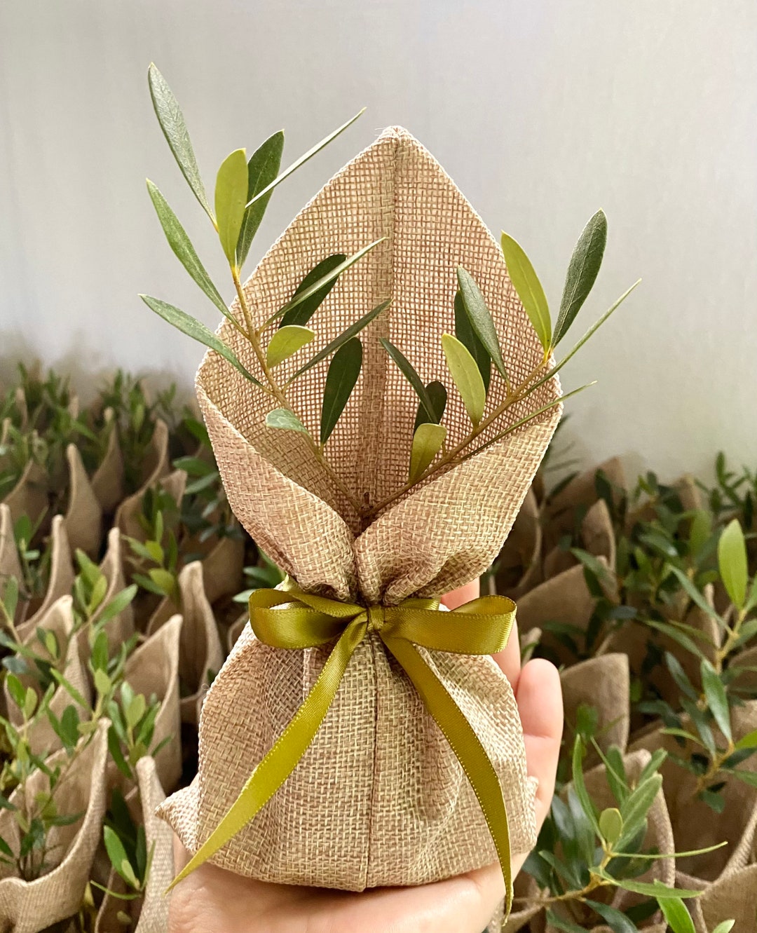 Plant Favours | Olive Trees | Eco Friendly Gifts | Wedding Bombonieres ...
