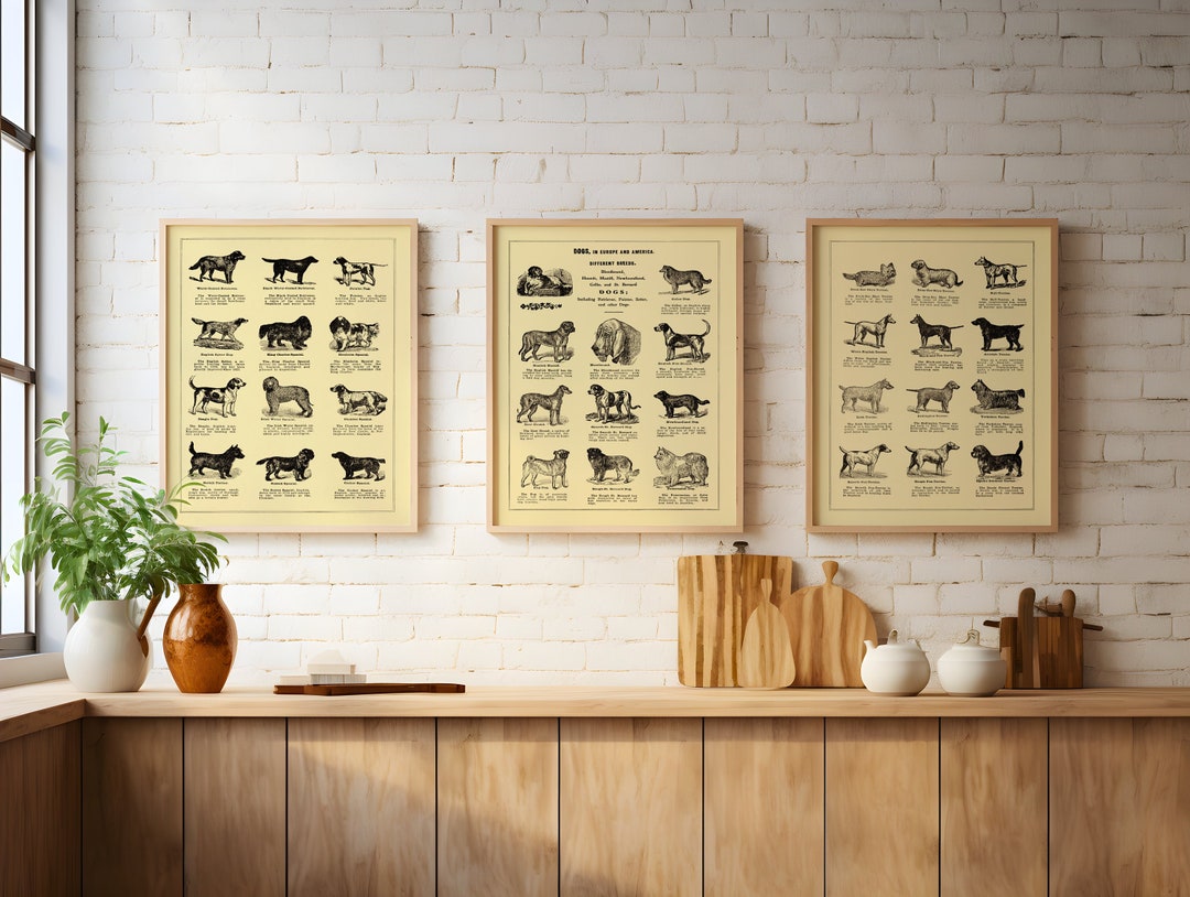 Vintage Dog Breed Posters, Set of 3 Dog Illustrations, Retro Pet Prints ...