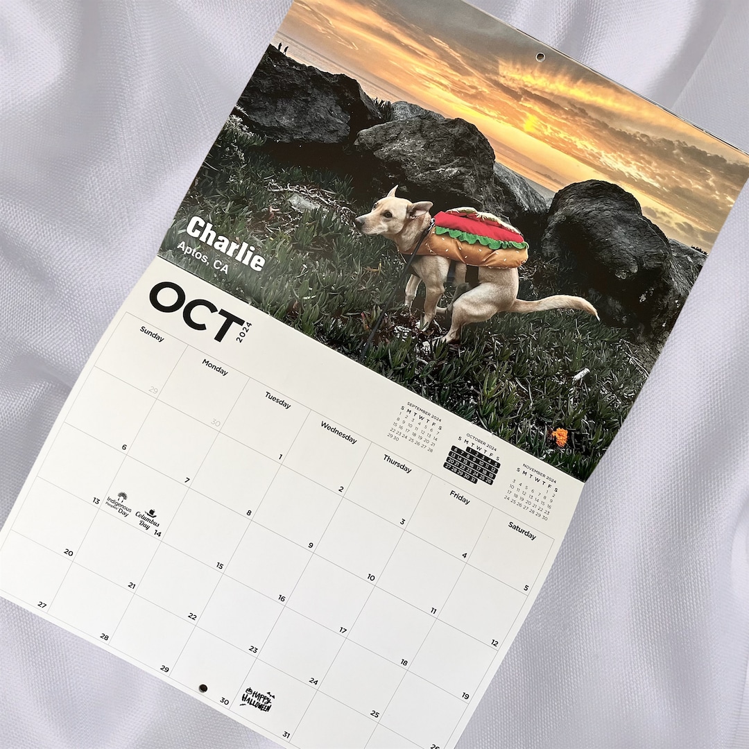 2024 Poop Dog Calendar White Elephant Funny Gift Exchange - Etsy