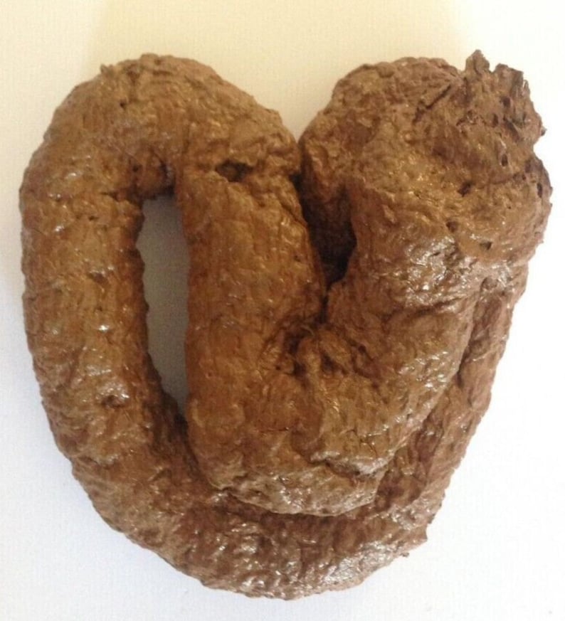 Fake Poo- Best Quality - Poo Joke Prank Gag Gross Poop TURD EU MADE - Etsy