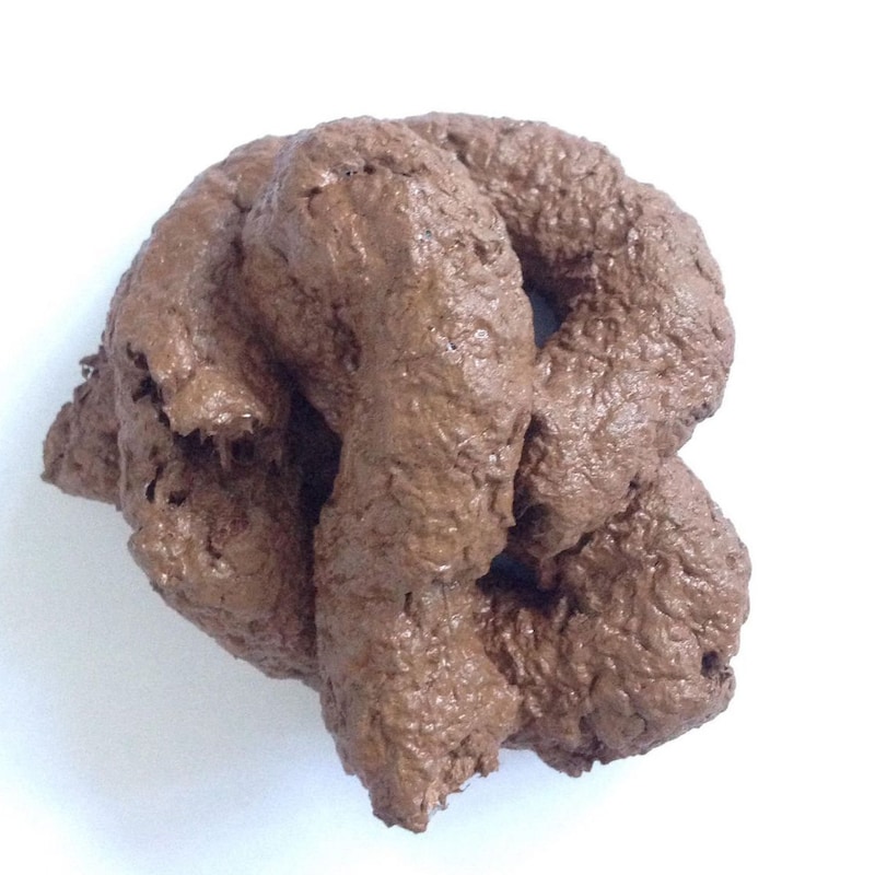 Prank Fake Poop - Etsy