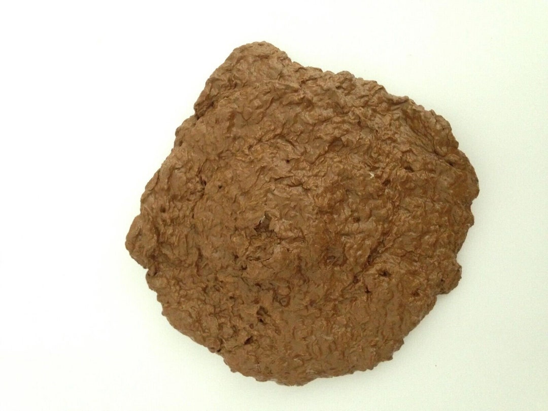 Fake Diarrhoea Poo Poop Joke Novelty EU Made WORLDS BEST Diarrhoea ...