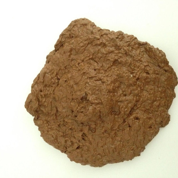 Fake Realistic Poop - Etsy