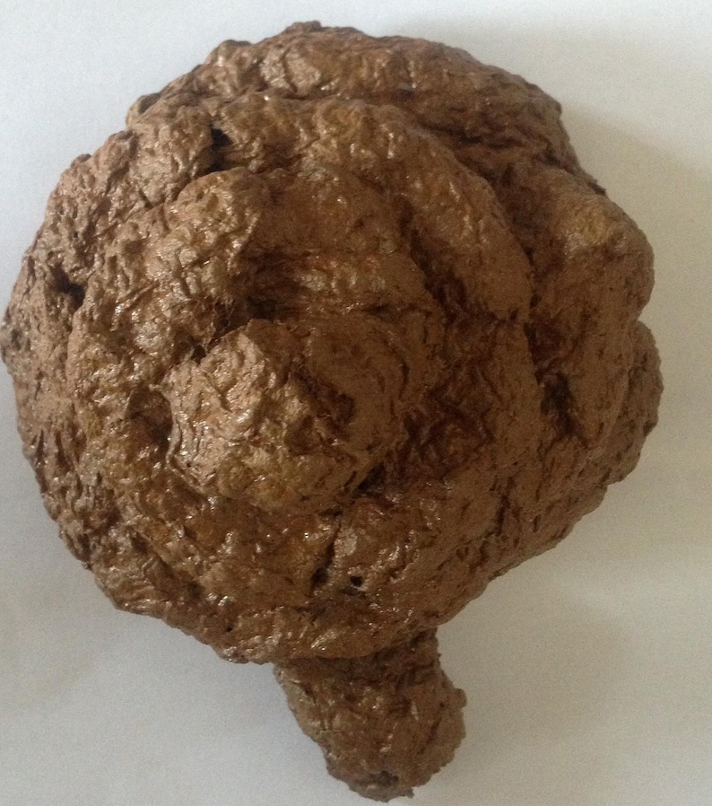 Fake Huge Poo Pile- Best Quality - Poo Joke Prank Gag Gross Poop TURD EU MADE - Etsy