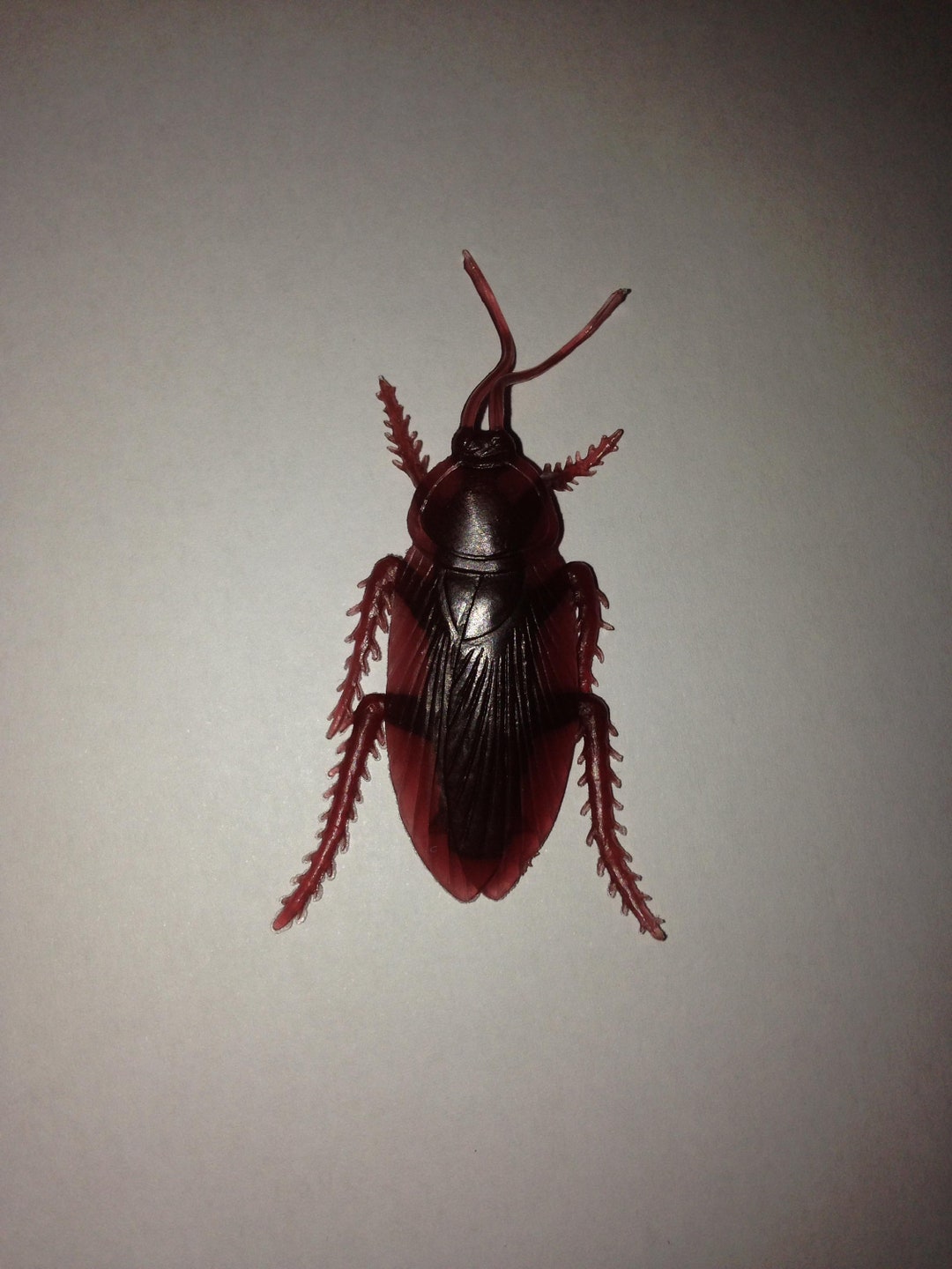 5 PACK of FAKE COCKROACHES Film Tv Prop Gross Gag Insects Joke Prank ...