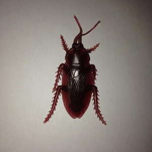 5 PACK of FAKE COCKROACHES Film Tv Prop Gross Gag Insects Joke Prank ...