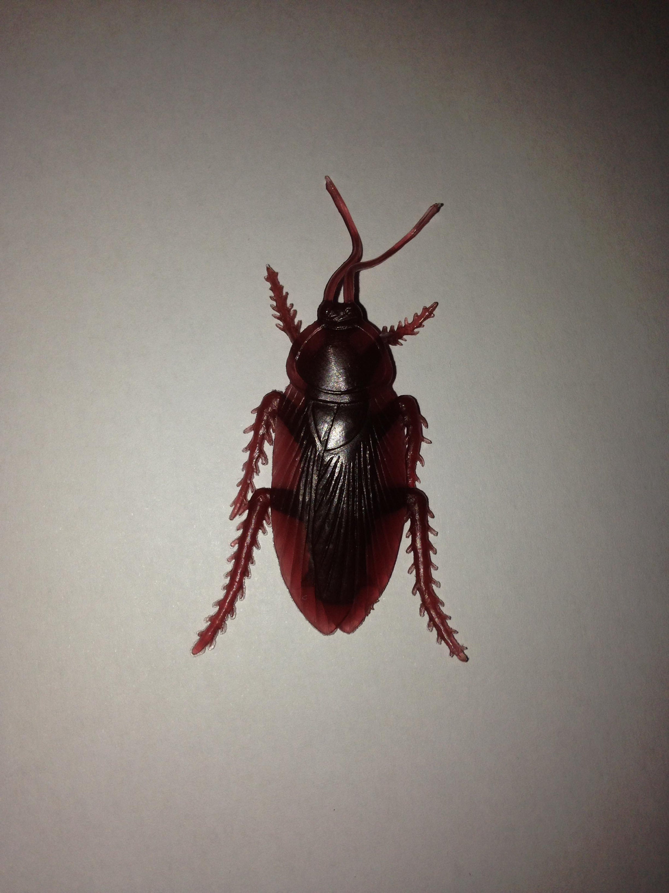 5 PACK of FAKE COCKROACHES Film Tv Prop Gross Gag Insects Joke Prank ...