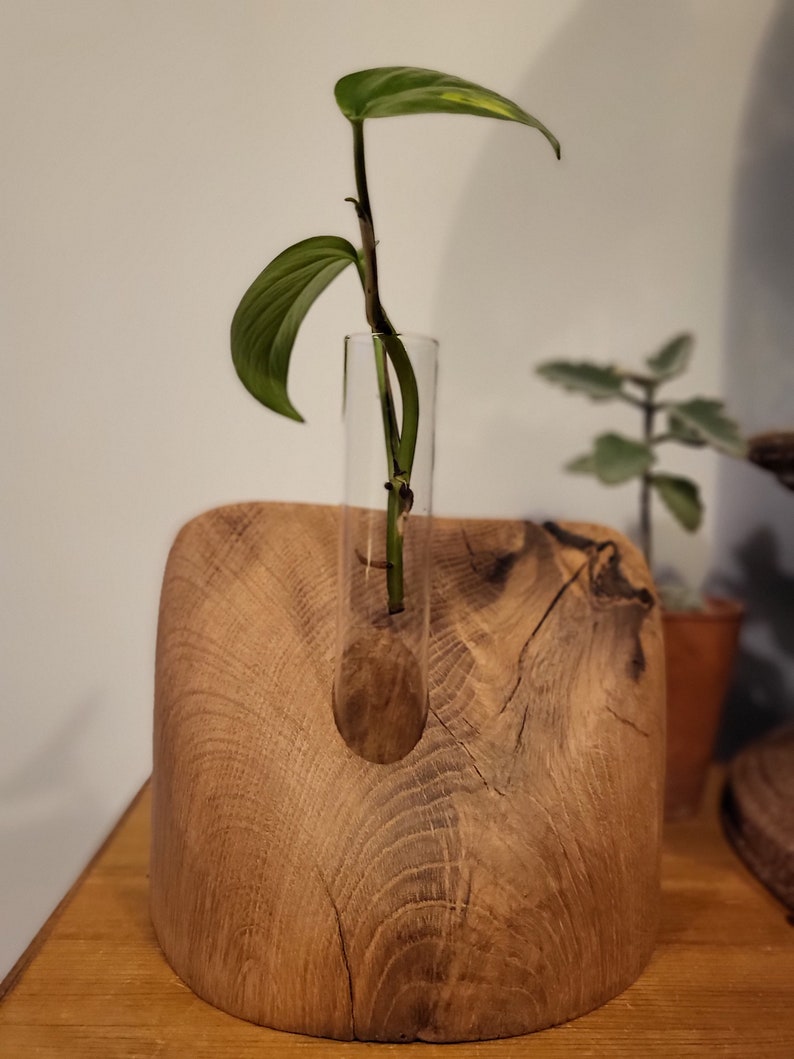 Oak Test Tube Vase, Propagation Station, Gift for Gardener, Single Stem ...