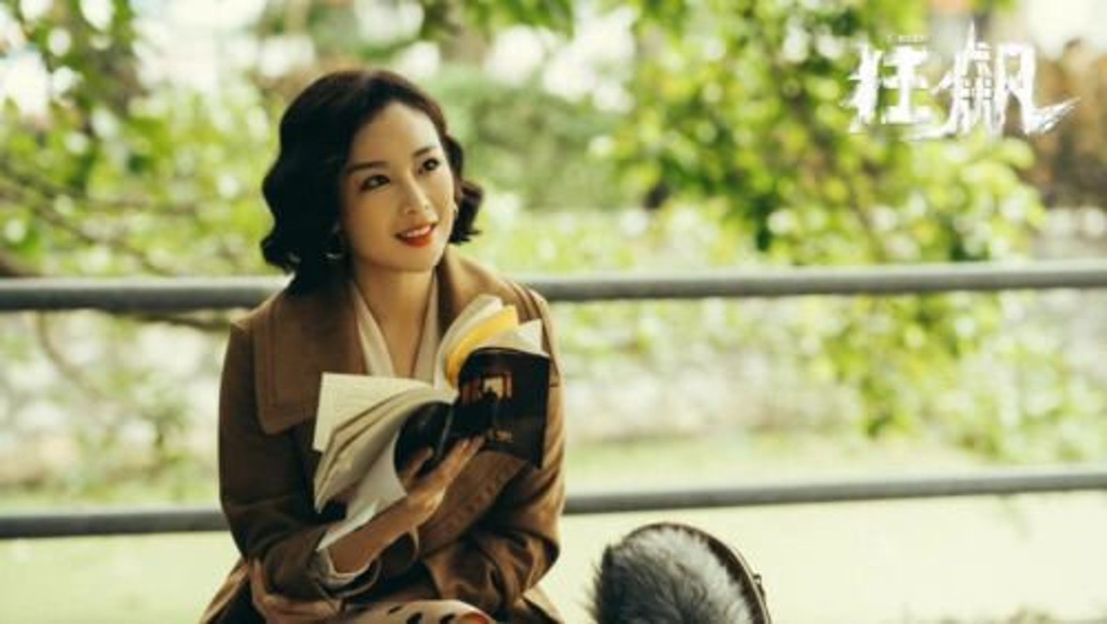 Authentic DVD Chinese Drama Series 狂飆 the Knockout 1-39 End - Etsy