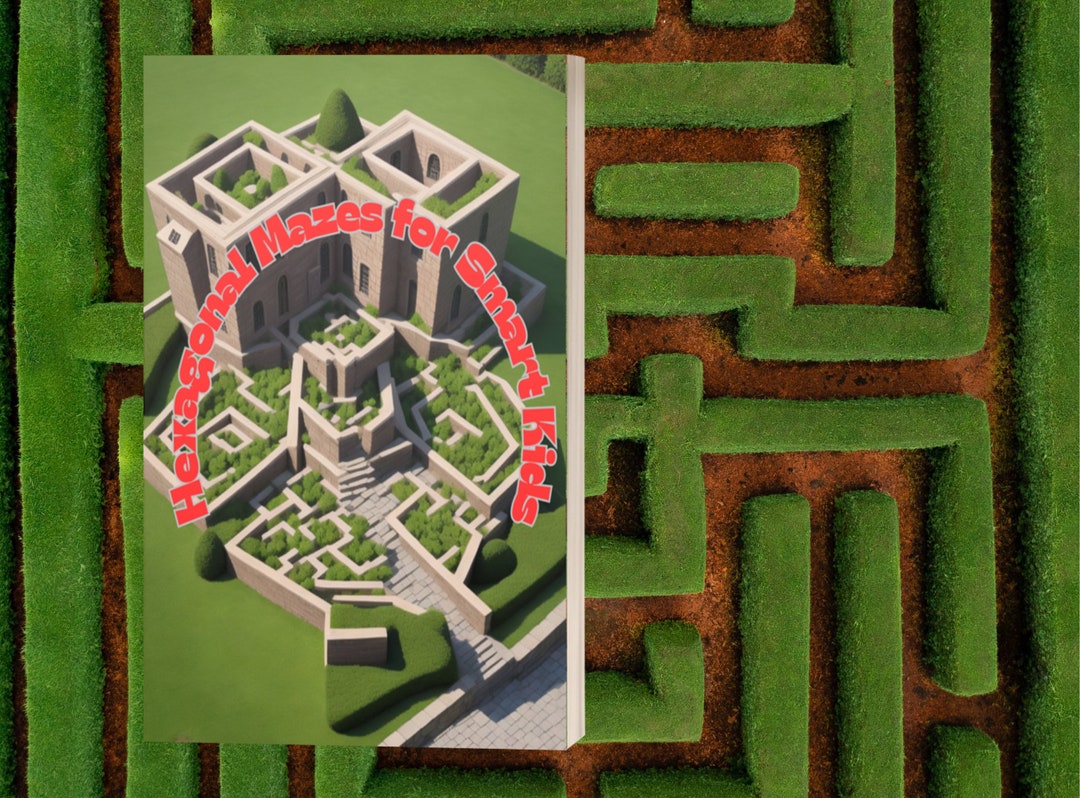 Hexagonal Mazes for Smart Kids - Etsy