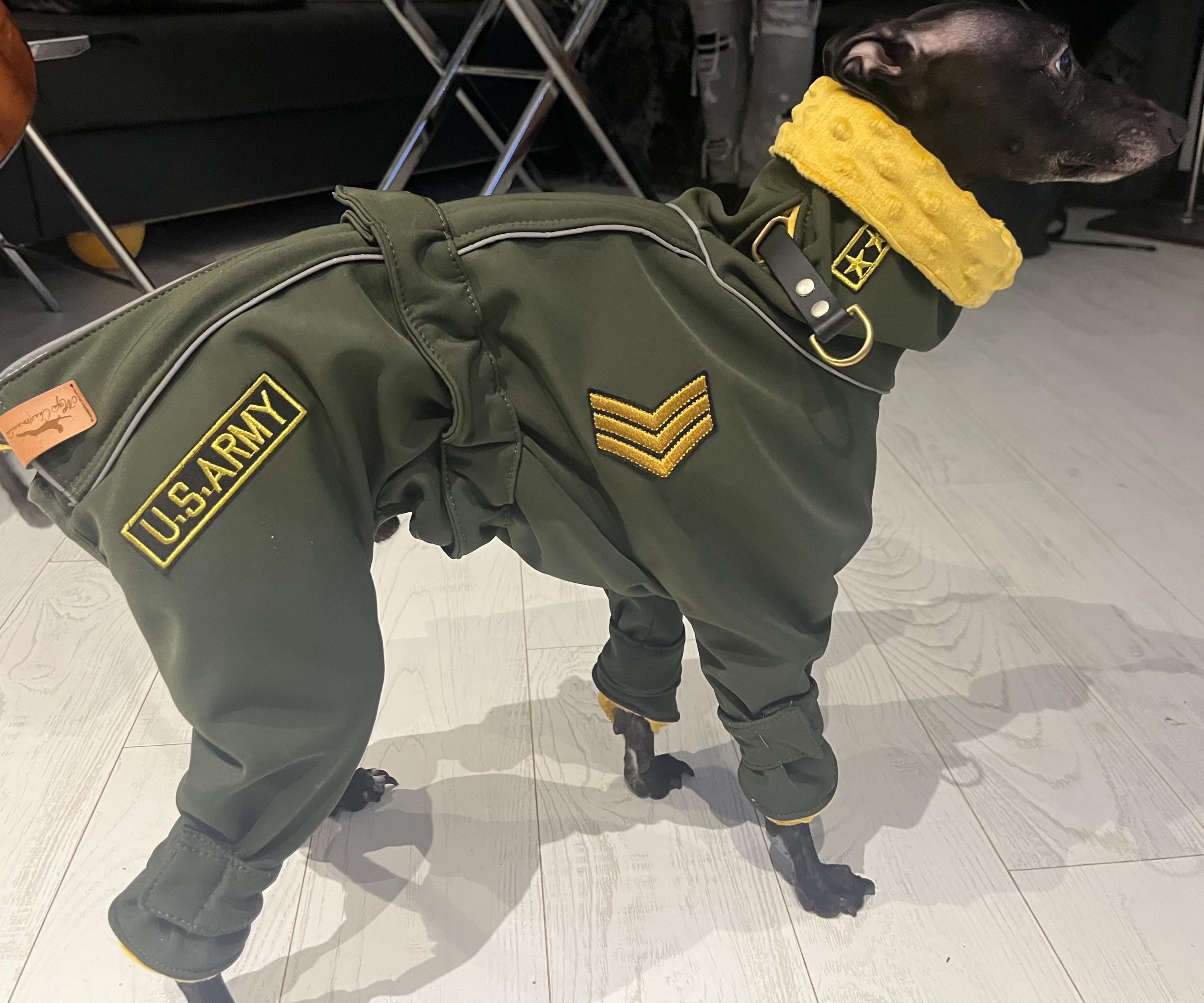 Military Suit for the Italian Greyhound and Whippet. - Etsy