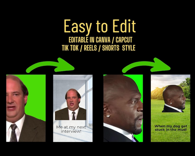 Funny Meme Emote Pack: 1200+ Green Screen Mp4s (digital Download) - Etsy