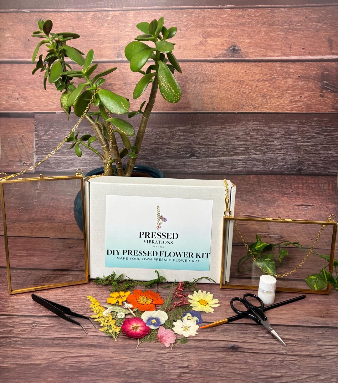 DIY Pressed Flower Art Kit - Etsy