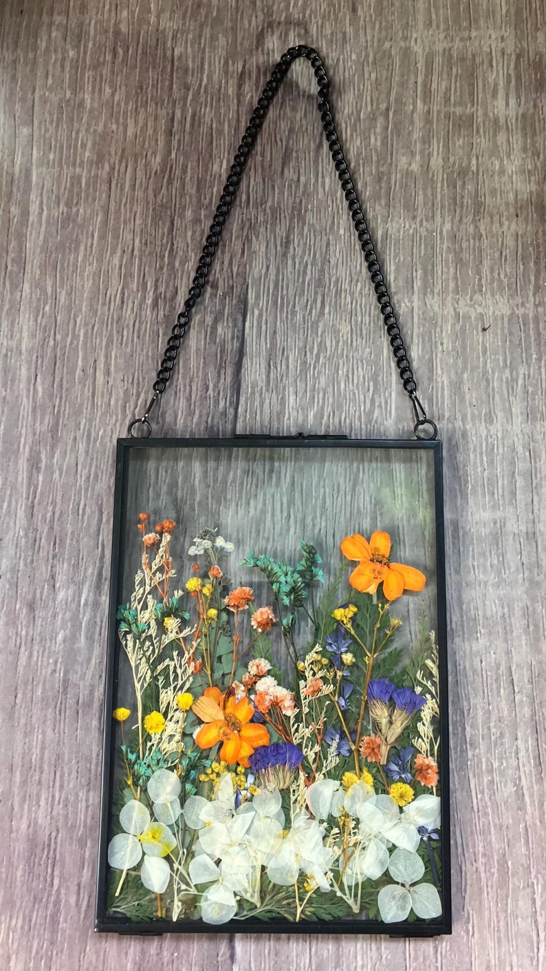 Black Glass Wall Frame With Dried Pressed Flowers, Black Frame, Botanical Art, Dried Flowers ...