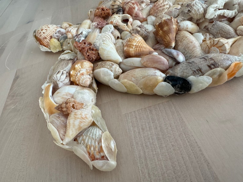 Shell Sea Turtle Wall Art Sign Decor - Etsy