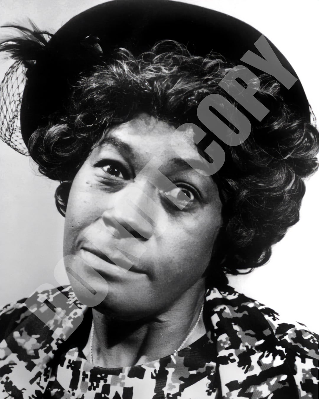 Aunt Esther Anderson Lawanda Page Sanford and Son TV Show Preprint 8x10 ...