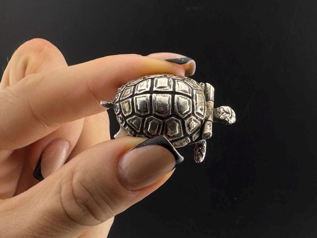 Vintage 800 Silver Tablet Box. Pill Box. Turtle - Etsy